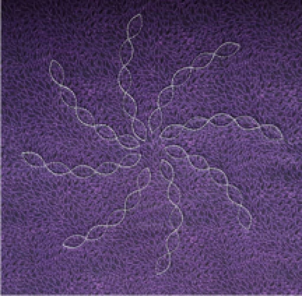 Westalee Sprial Cross Hatch Ruler | $56.00 | Quilting & Beyond | Buy ...